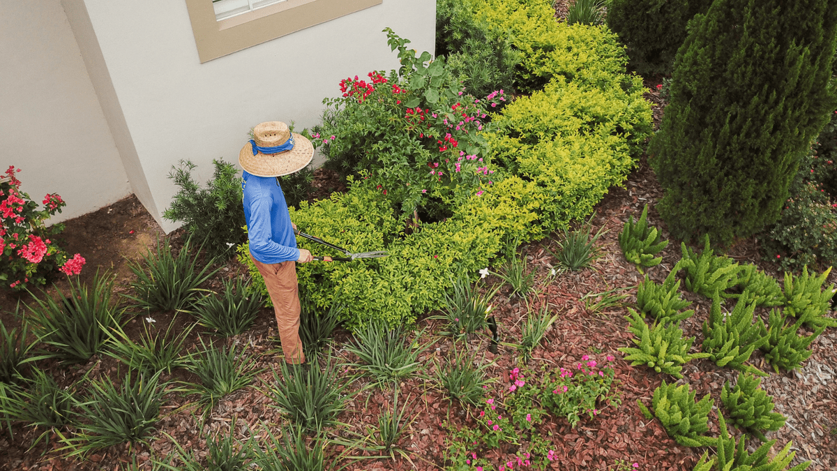 Spring into Gardening