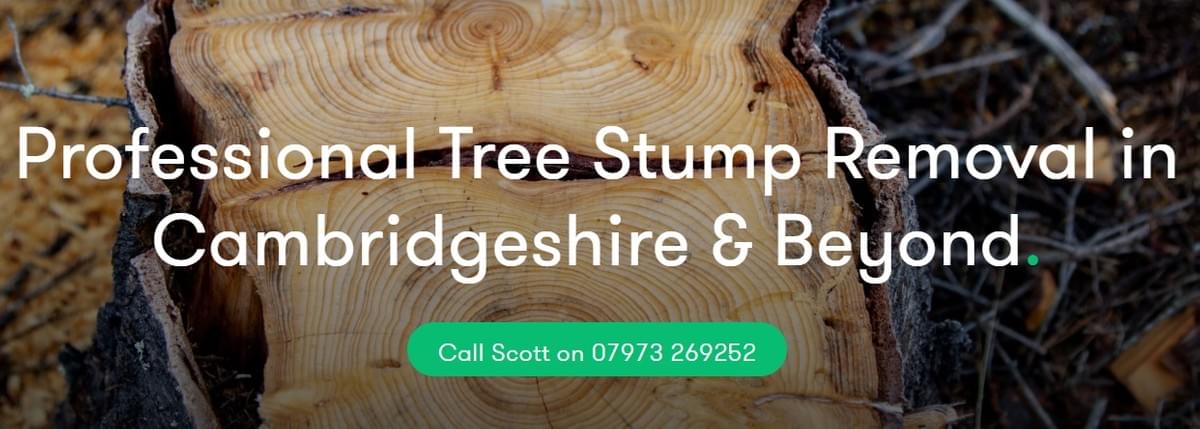 A variety of Tree Stump Removal Methods