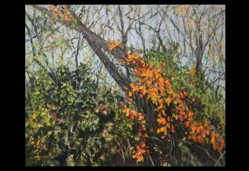 Tips To Create Amazing Natural Visual Art