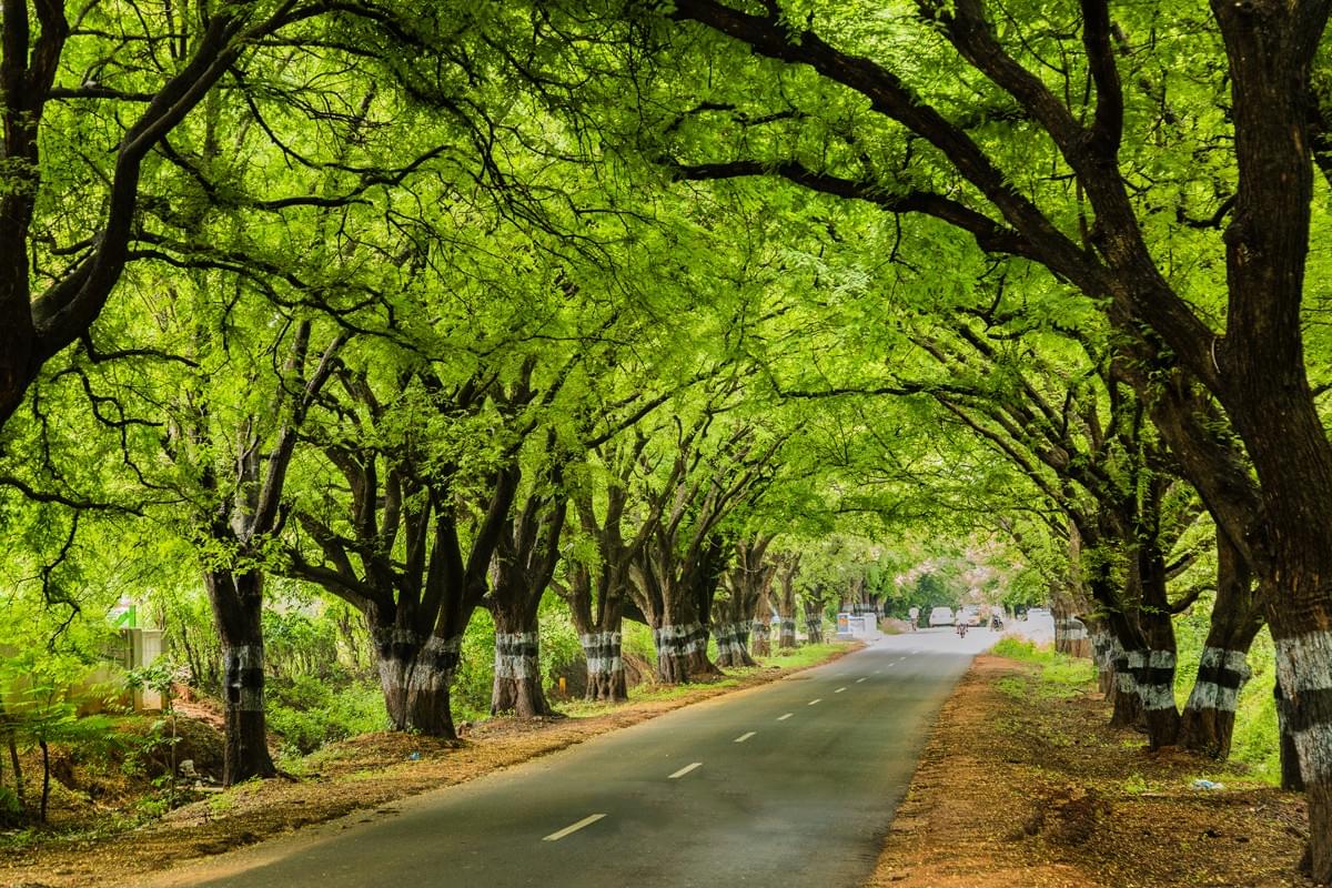 Best Pollachi sightseeing places - Pollachi famous plac...