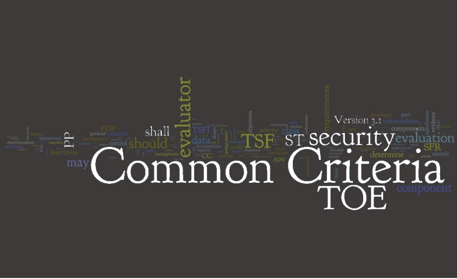 Top 10 Things You Should Know About Common Criteria - C...