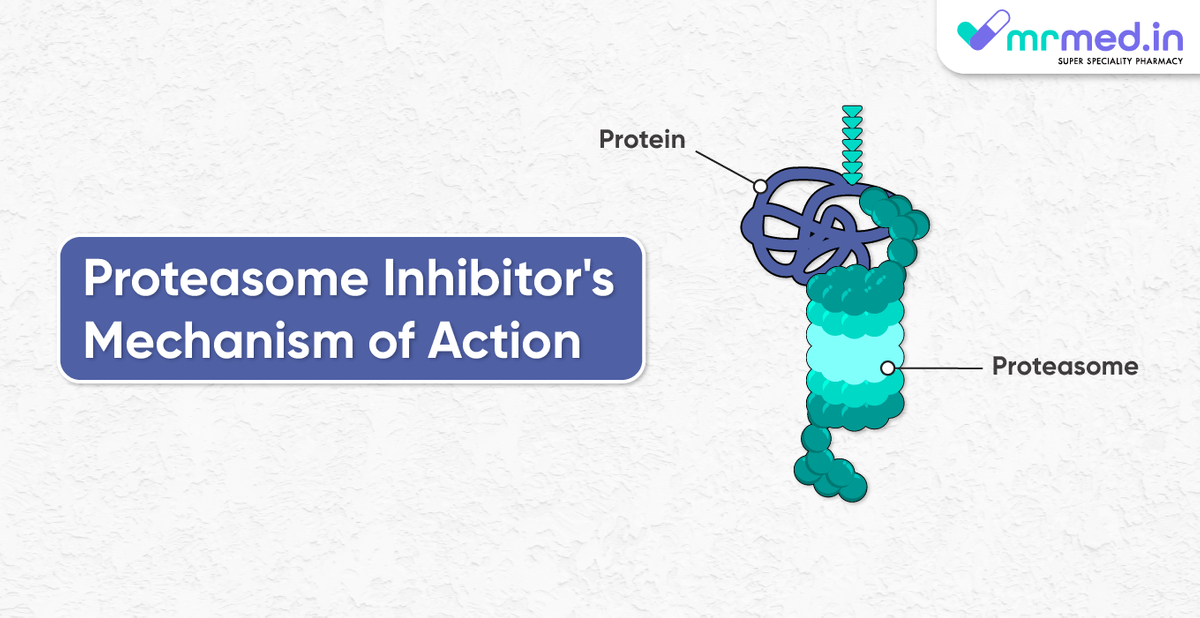 Proteasome inhibitor's mechanism of action