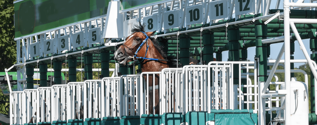 From the Starting Gates to the Finish Line