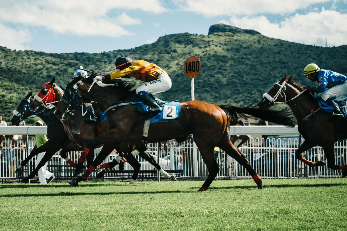 Revolutionizing horse racing by augmenting fan experien...