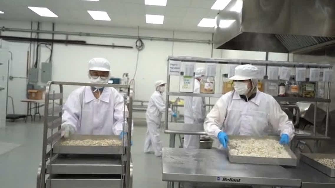 Inside of King's Organic Factory