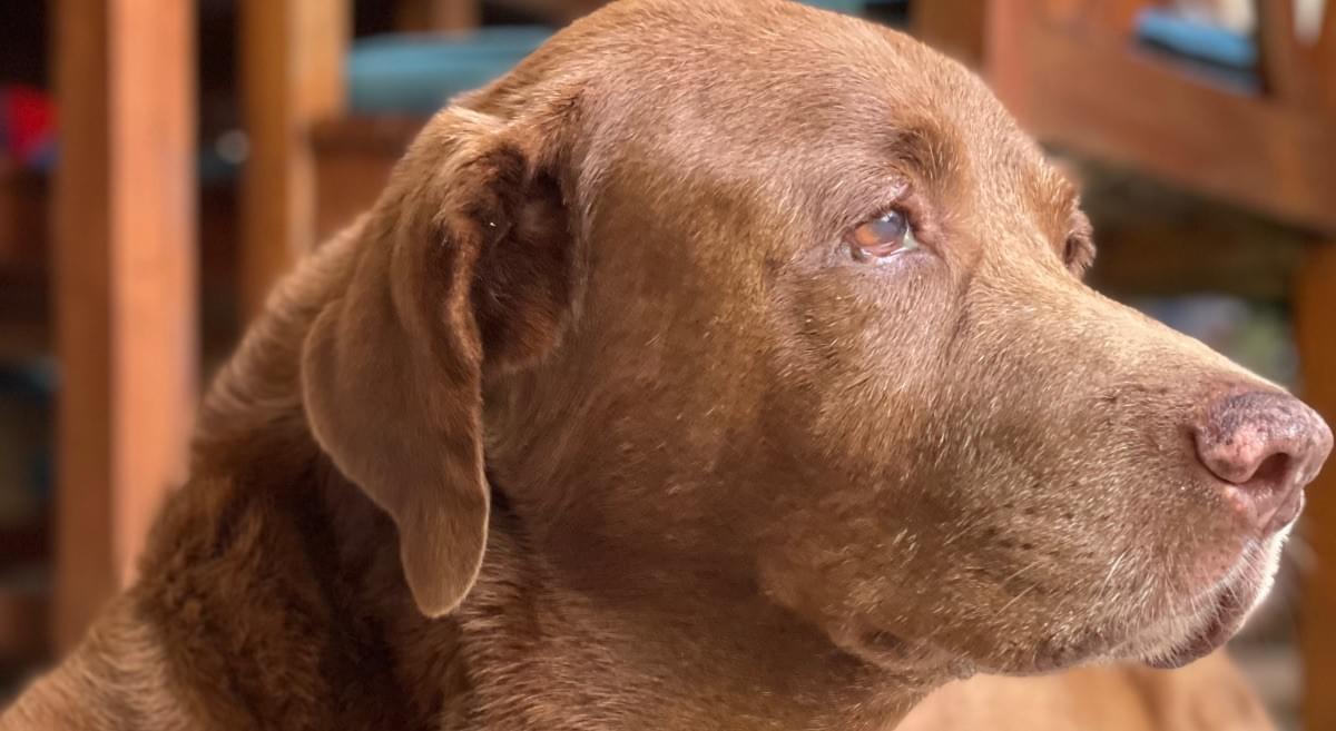 Thank you, Merlin! - My Story Story Mindset Personal Gr...