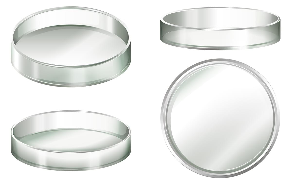 What is a Polycarbonate Lens and Its Applications