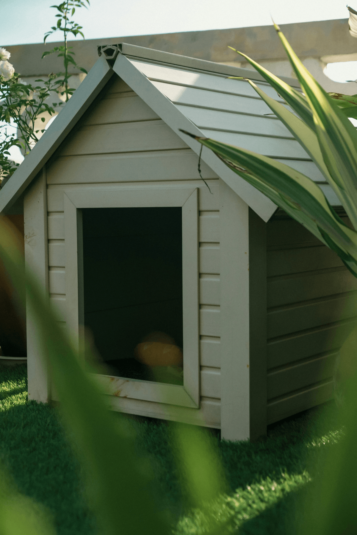 Stay Cool: The Best Air Conditioned for Dog Houses