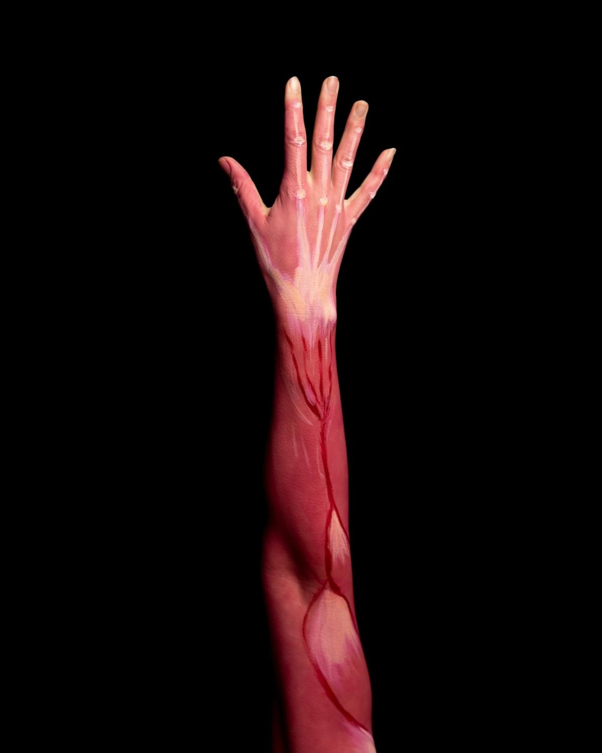 Nitinol ‘Smart’ Wires to Mimic Muscle Fibers: How It Wo...