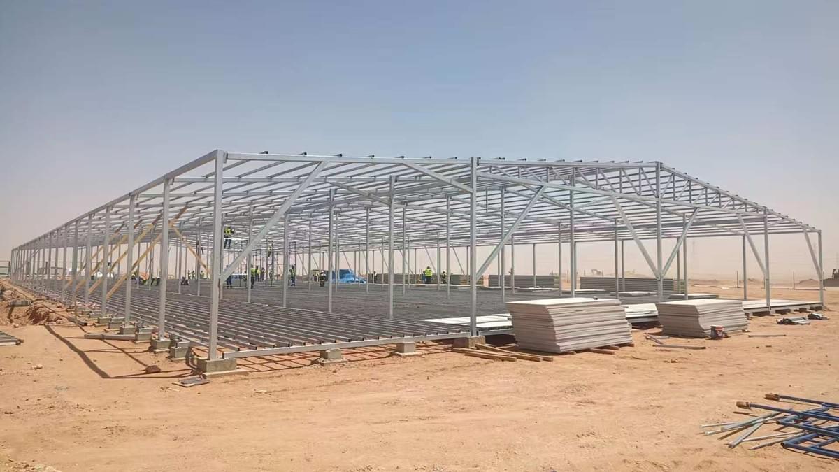 Understanding the PEB Structure: A Comprehensive Guide