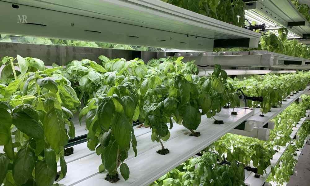 Revolutionize Your Hydroponic Farming with the Micro Co...