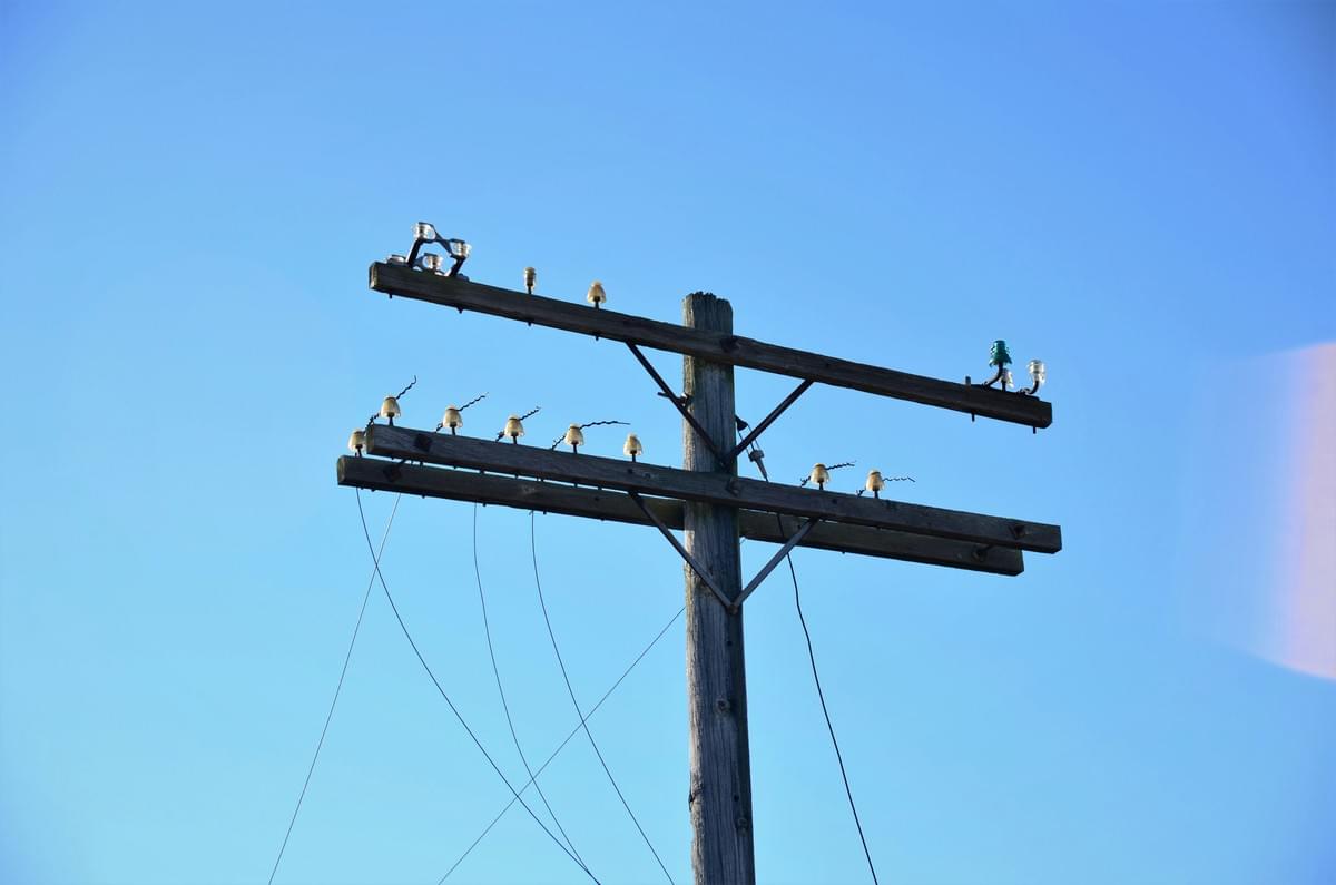 Ultimate Guide to Different Parts of a Power Pole - blo...