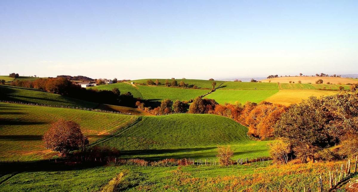 Défrichez pour vous un terrain neuf