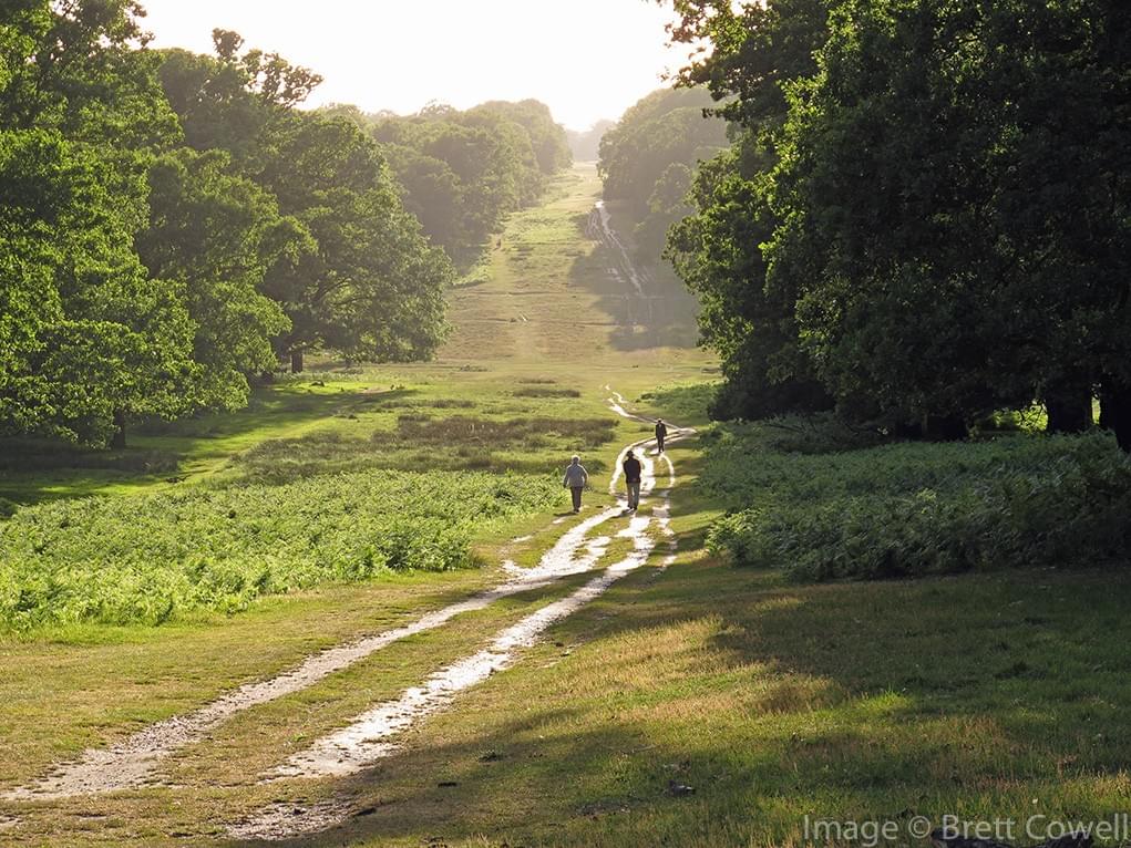 The Good Life Book - Original Introduction