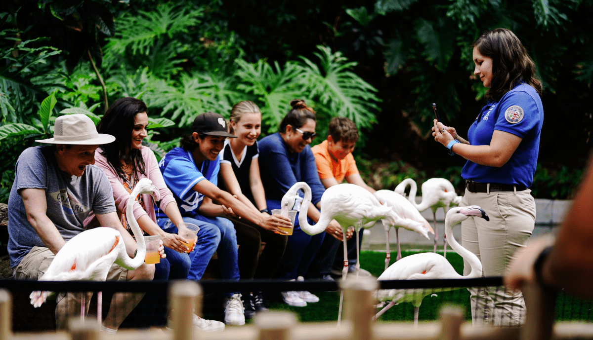 Taking Informed Action at the Local Level - Responsibil...