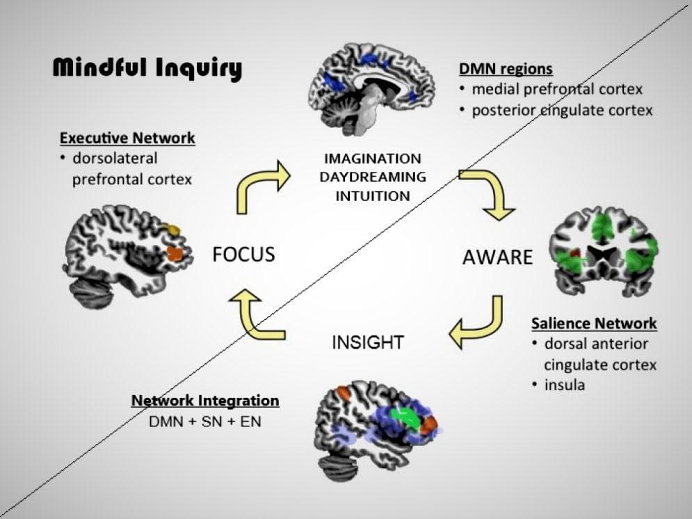 Hacking the Brain to Maximize Success