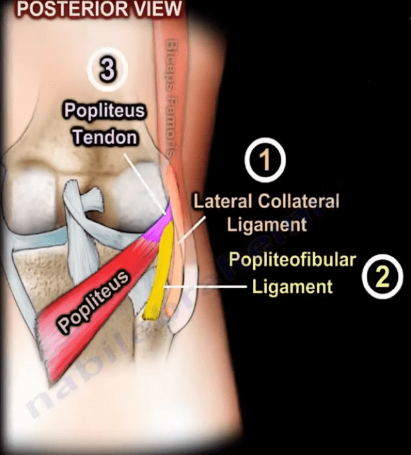 lateral pivot shift test knee