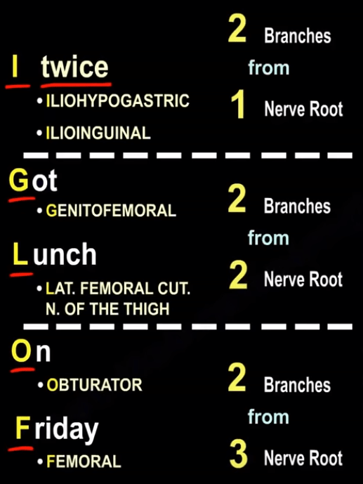sacral plexus mnemonic dirty