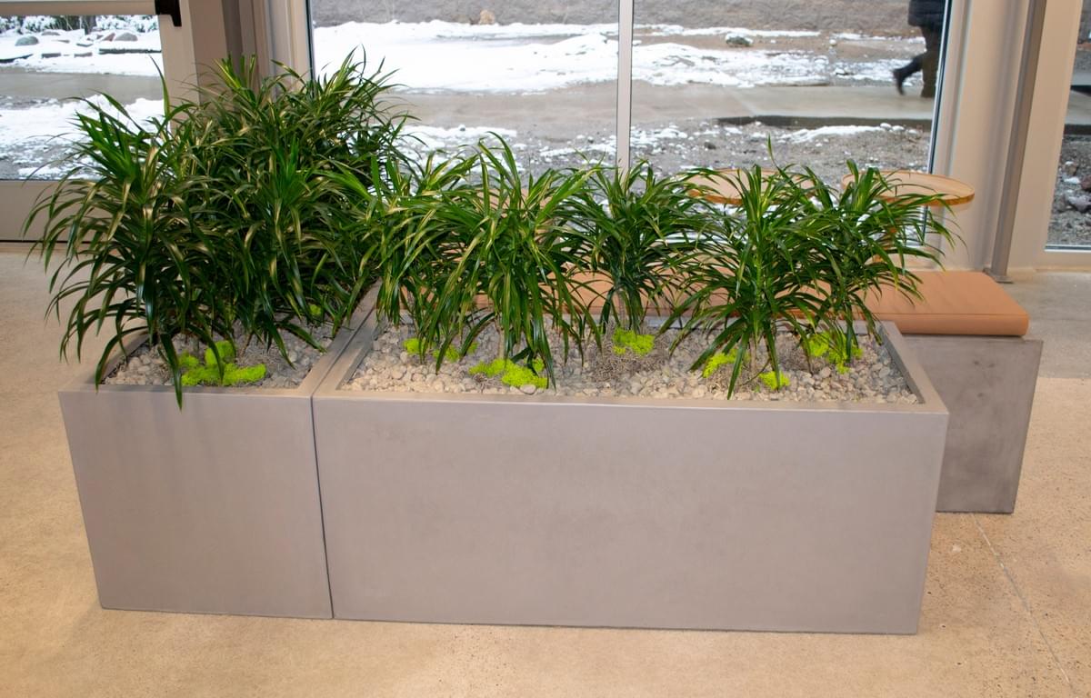 Turning a Warehouse Green