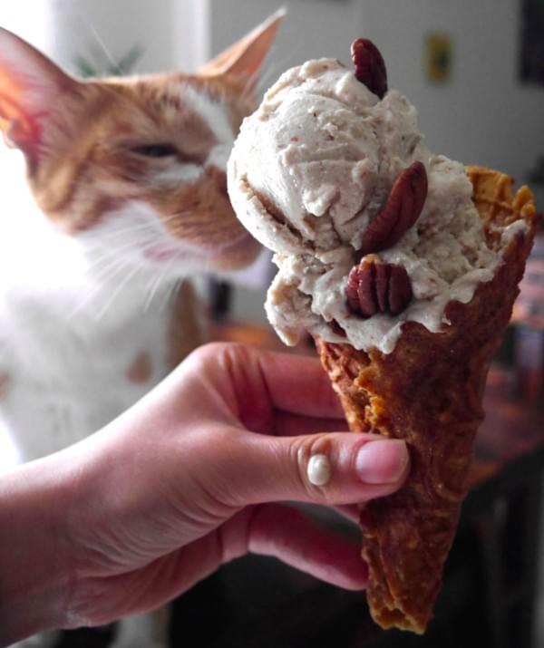 Vegan Cashew Ice Cream - vegan ice cream