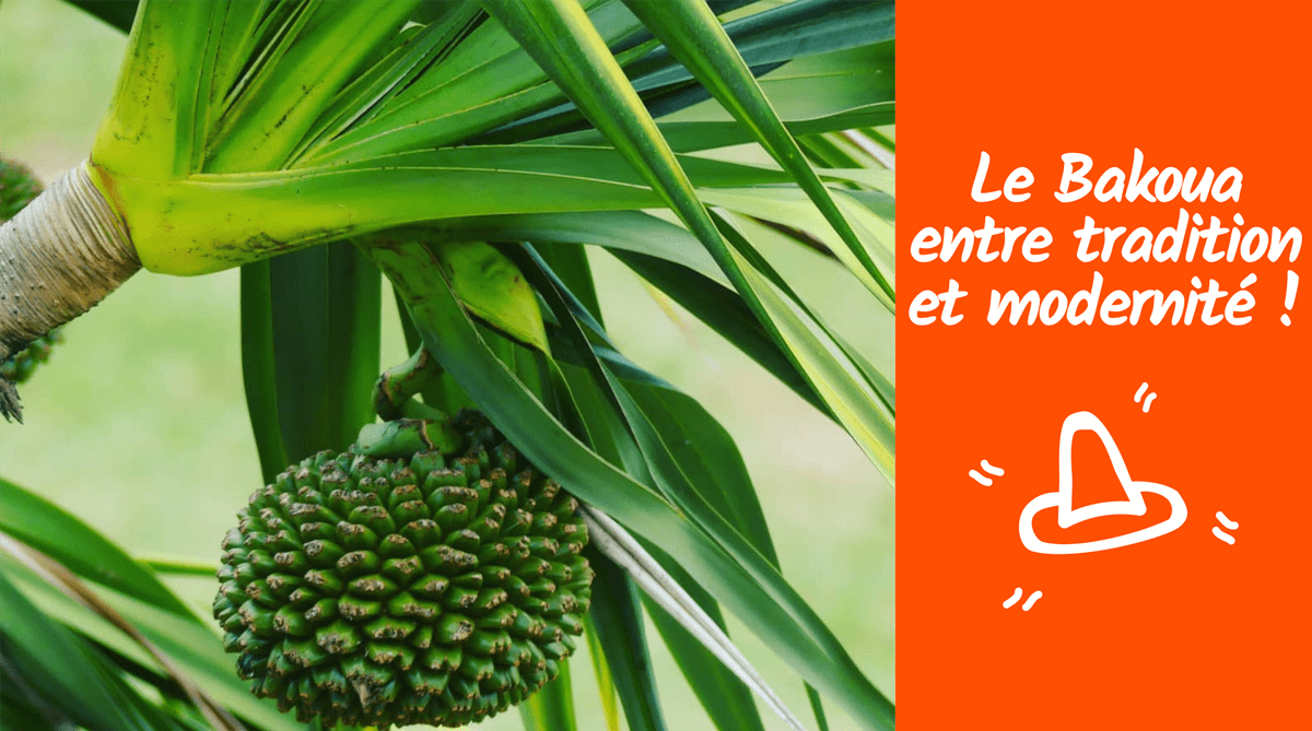 Le Bakoua entre tradition et modernité ! - Culture Créo...