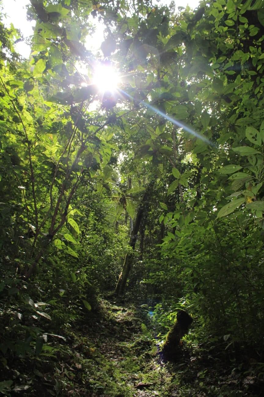 The environment and its cyclical nature