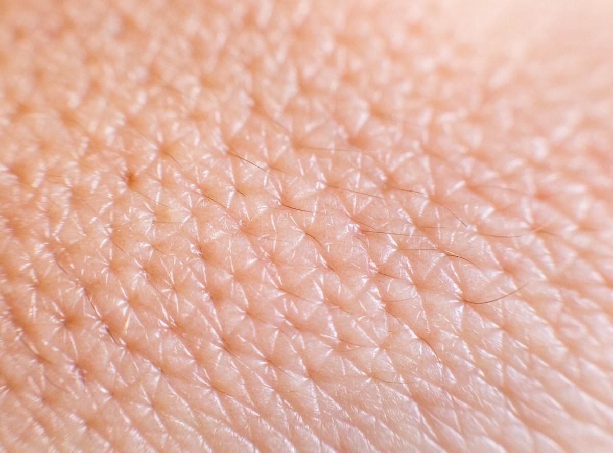 The importance of blood flow on skin tissue is crucial ...