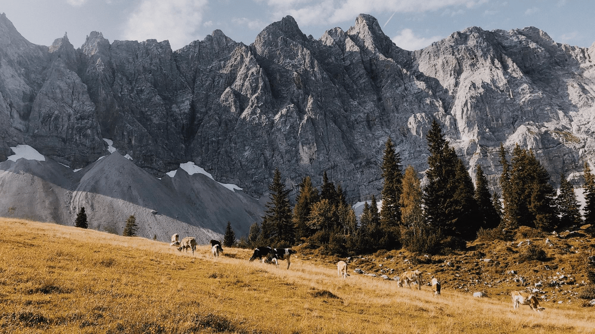 TEIL 1 Der Adlerweg Weitwandern in Tirol