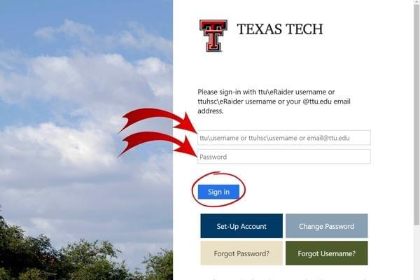 TTU Blackboard Login Online Portal | Texas Tech Univers...