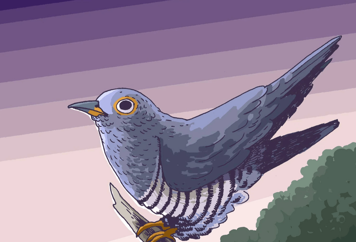 Il cuculo - animali disegni emozioni natura