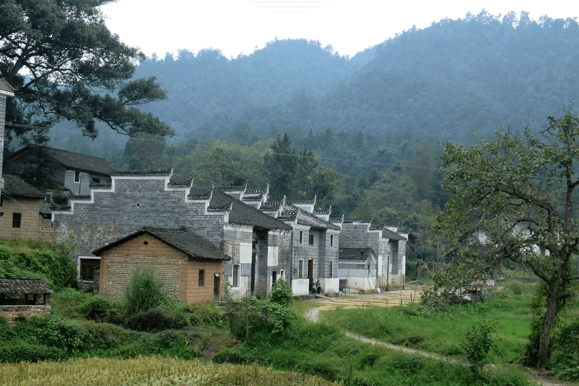 The Benefits of Choosing Chinese Prefab Homes