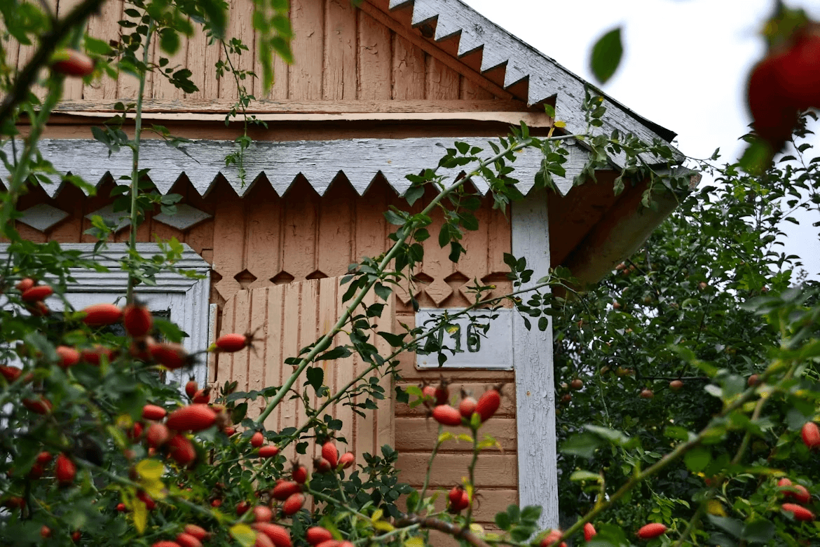 Exploring Enchanting Apple Houses You’ll Love