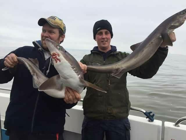 Reef Fishing - OSPREY CHARTER FISHING TRIPS FROM ILFRACOMBE HARBOUR