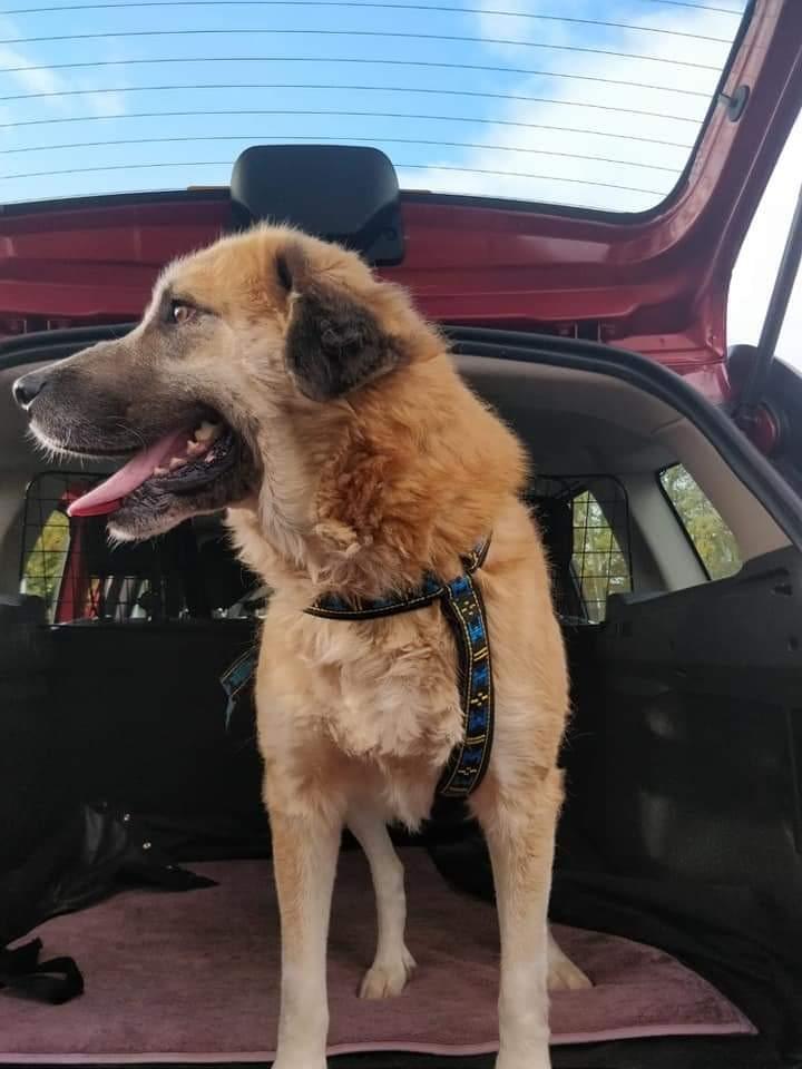 Penny Jones Animal Hospice