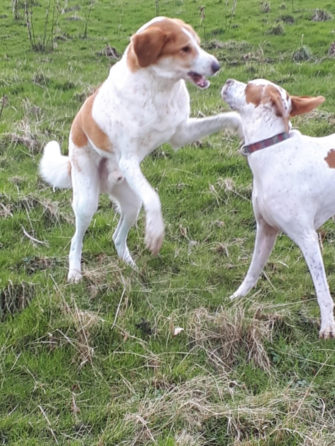 Penny Jones Animal Hospice