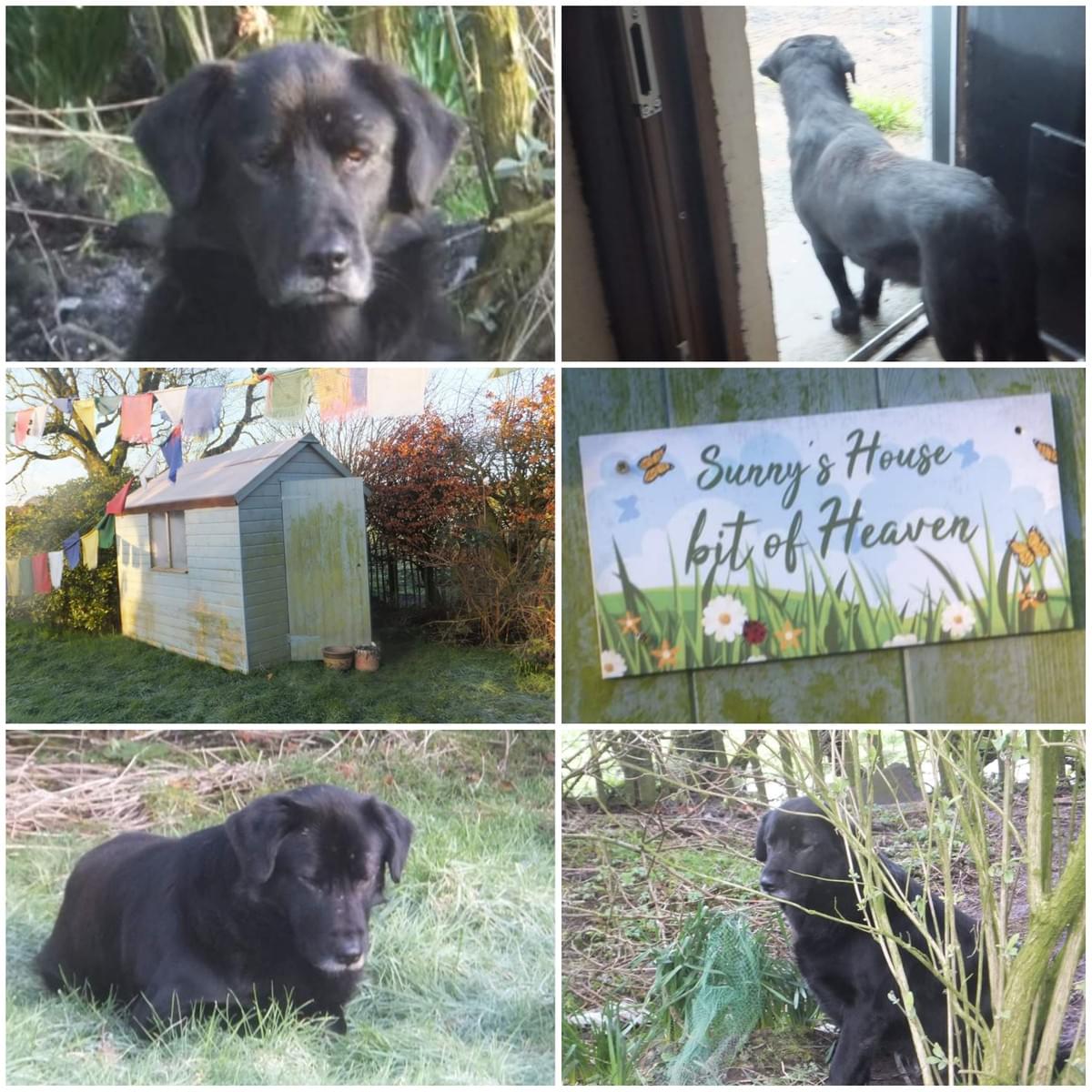 Penny Jones Animal Hospice