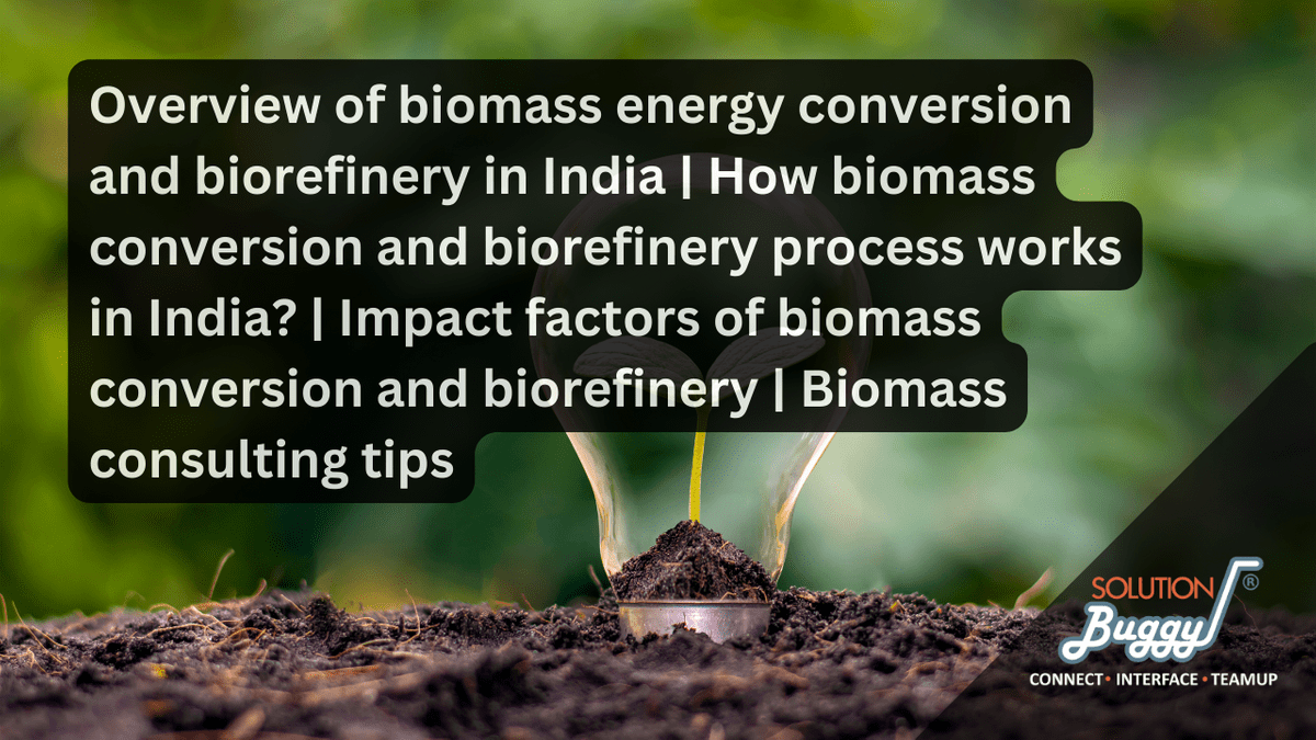 Overview of biomass energy conversion and biorefinery i...