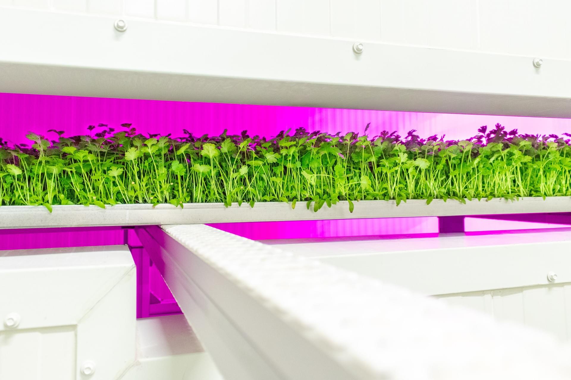 Our Promises - Growy | Next-Level Farm