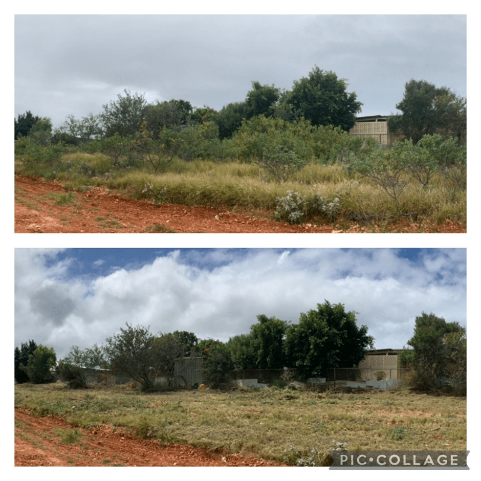 Flail Mowing and Mulching - RC Vegetation Services - Perth and Regional ...