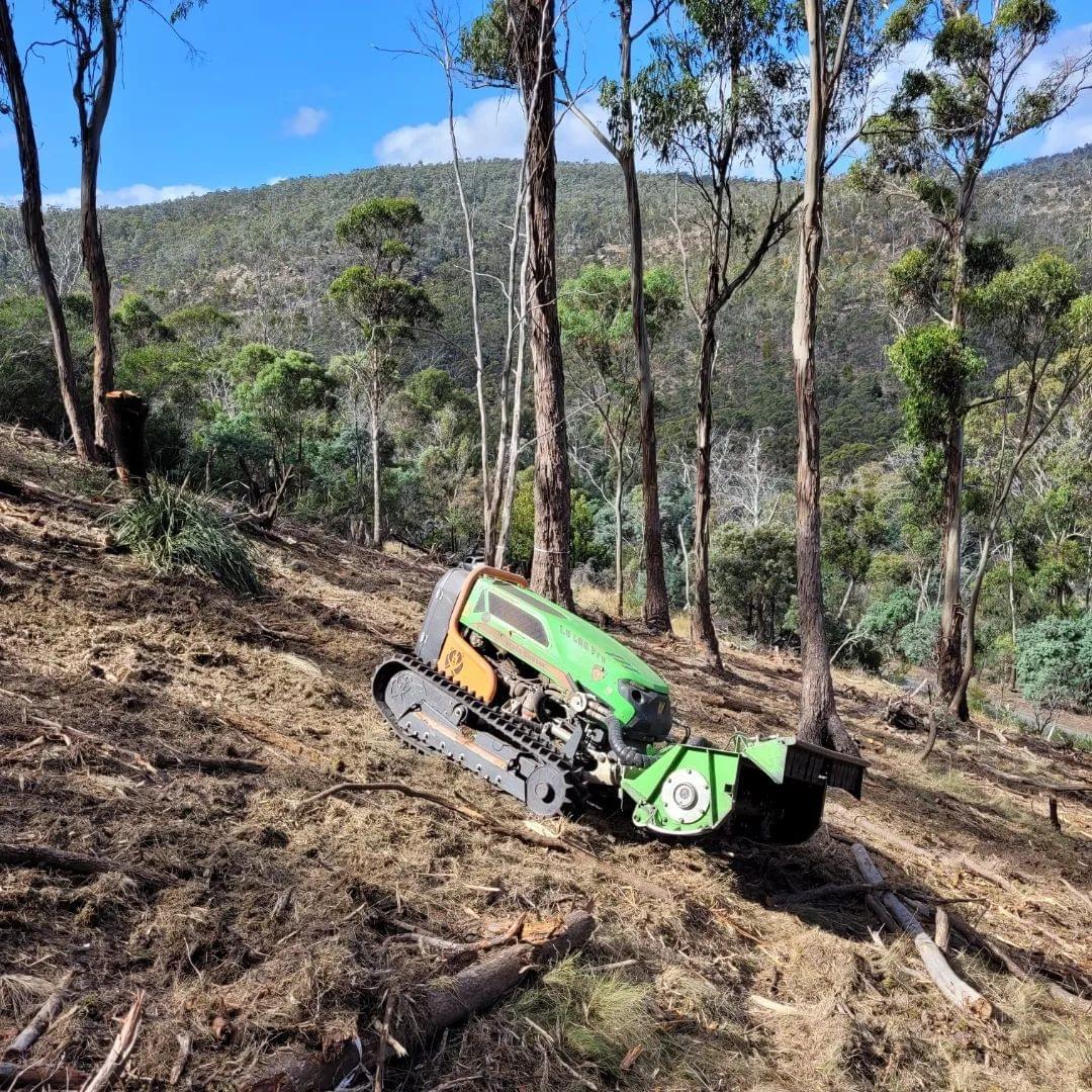 Flail Mowing and Mulching - RC Vegetation Services - Perth and Regional ...