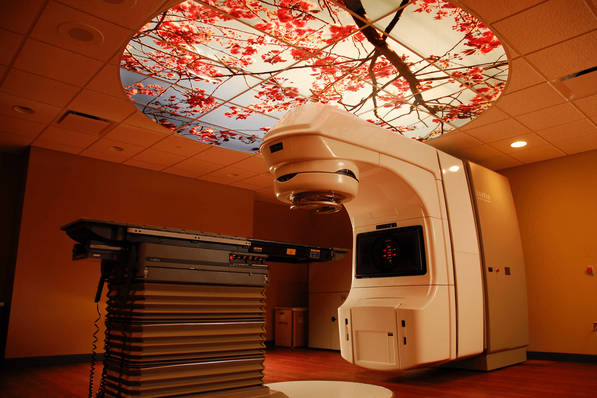 Benjamin Weatherston- Commercial/Editorial Photographer