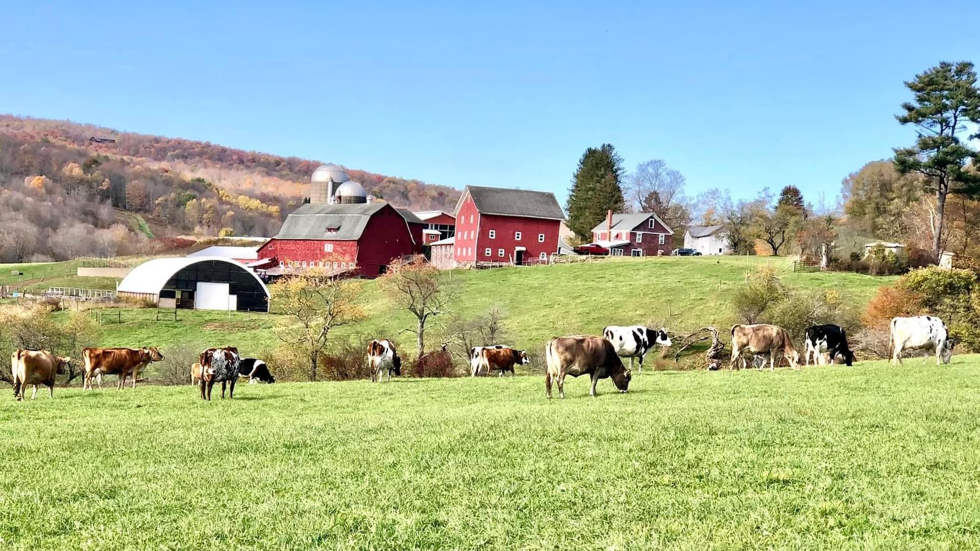 Pepacton Farms Creamery