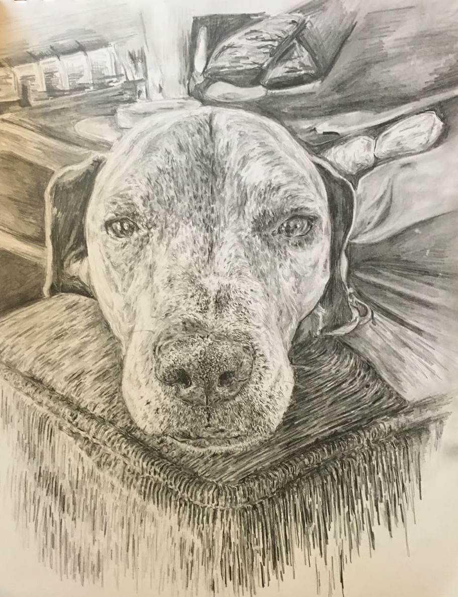 Drawings and Paintings - Mira Aviva Art