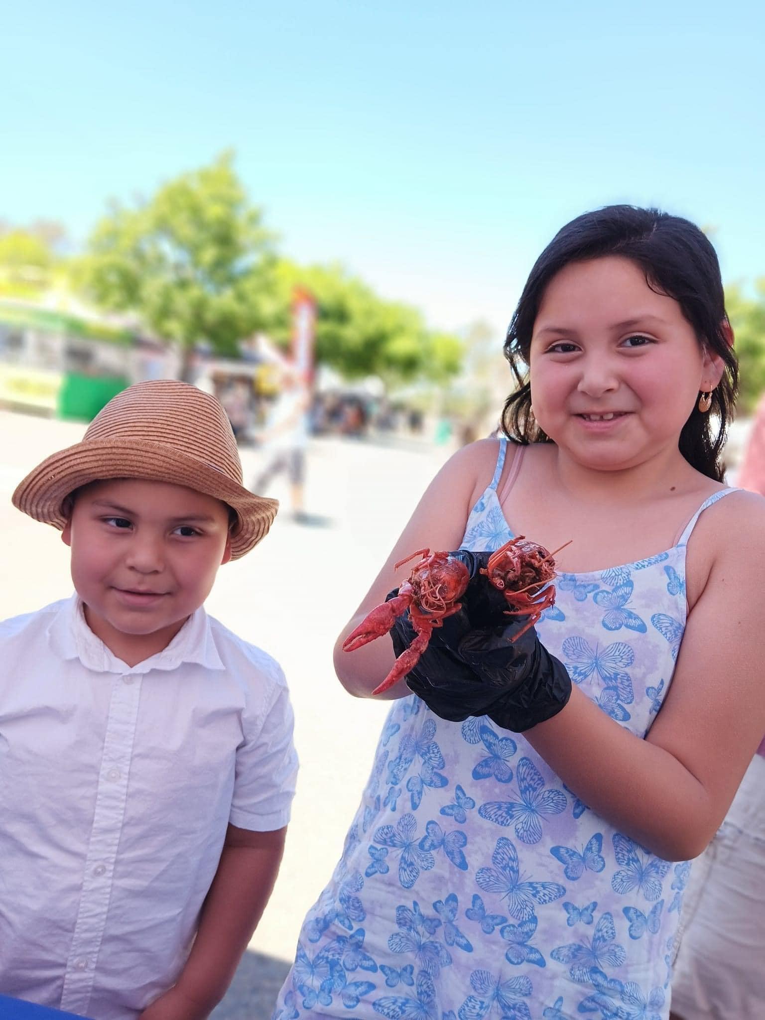 The Crawdad Festival 2025 - Northern California's Largest Crawfish Festival