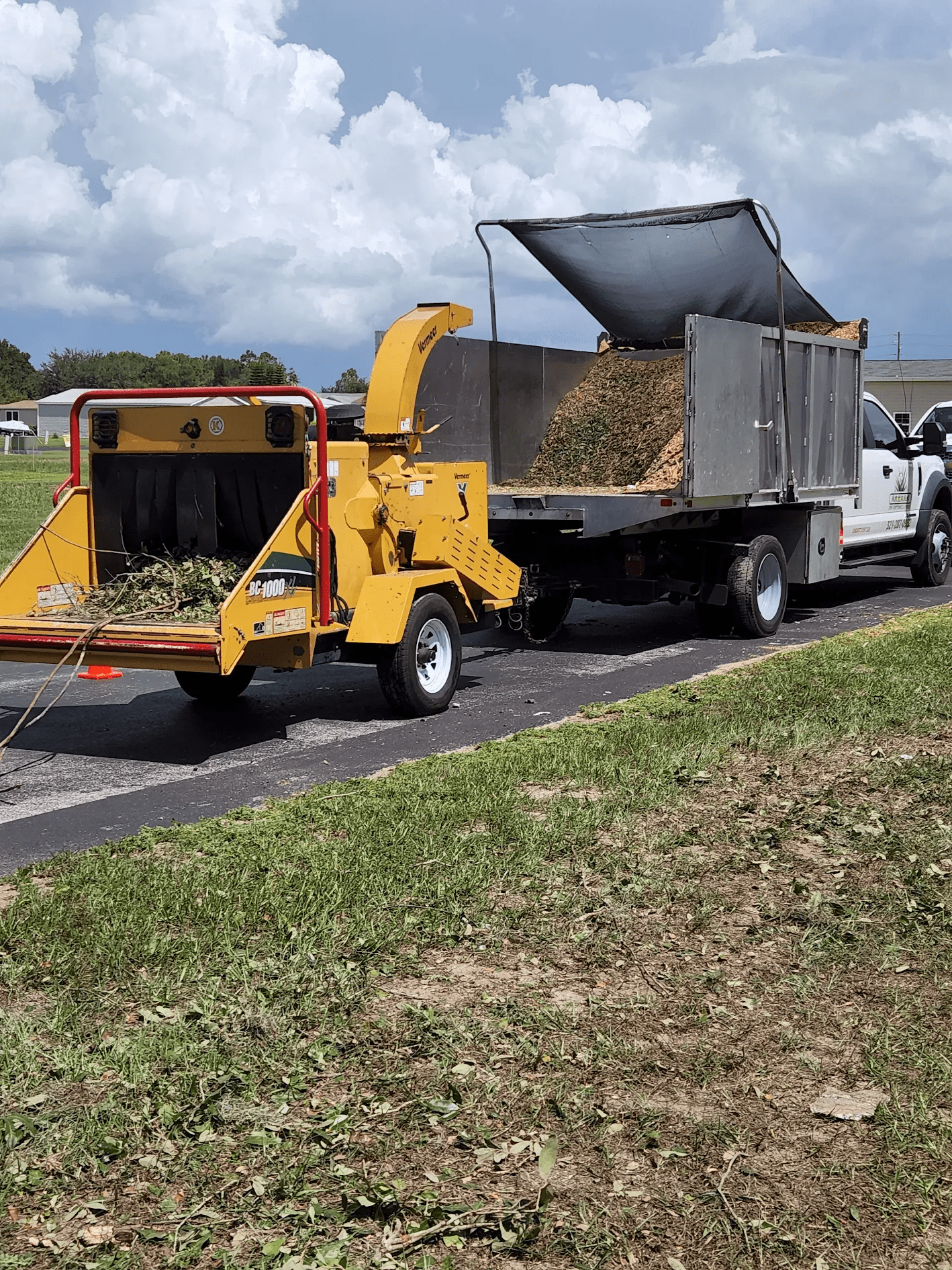 Arenas Lawn Mintenance and Service Landscaping Gallery