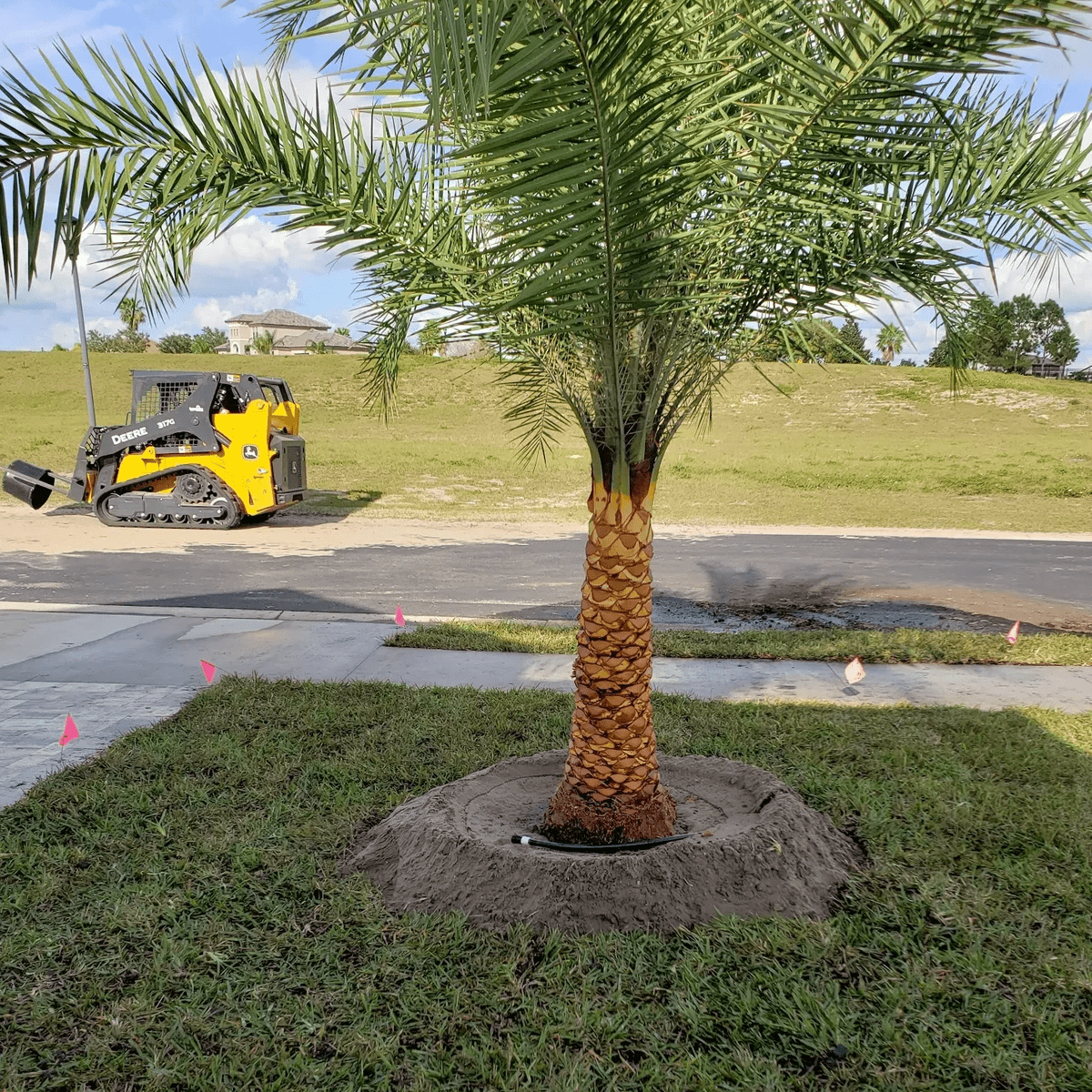 Arenas Lawn Mintenance and Service Landscaping Gallery