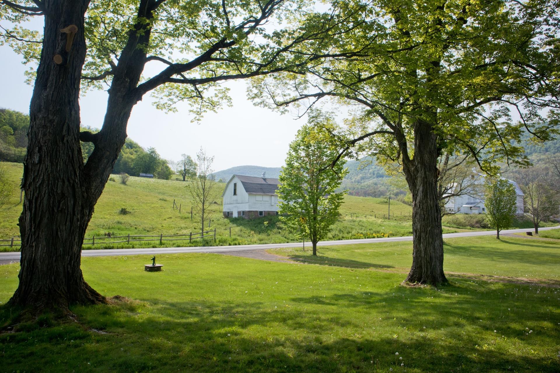 Rich Country Farmhouse