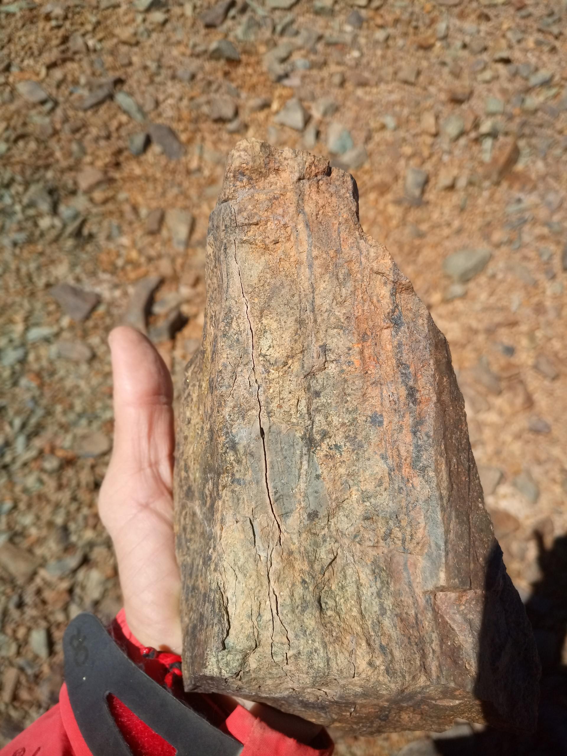 Mogotes Metals - Copper Exploration in Argentina