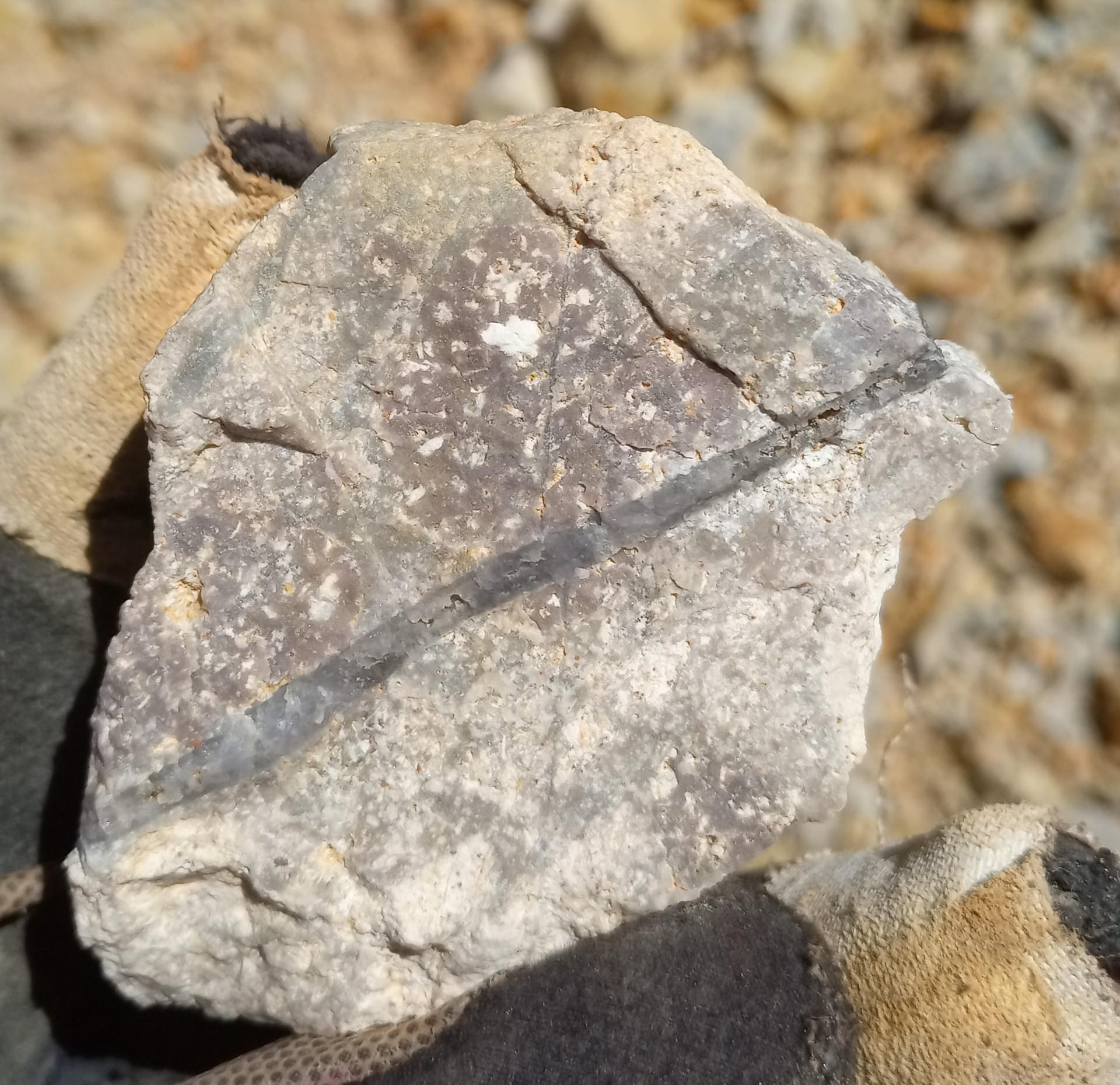 Mogotes Metals - Copper Exploration in Argentina