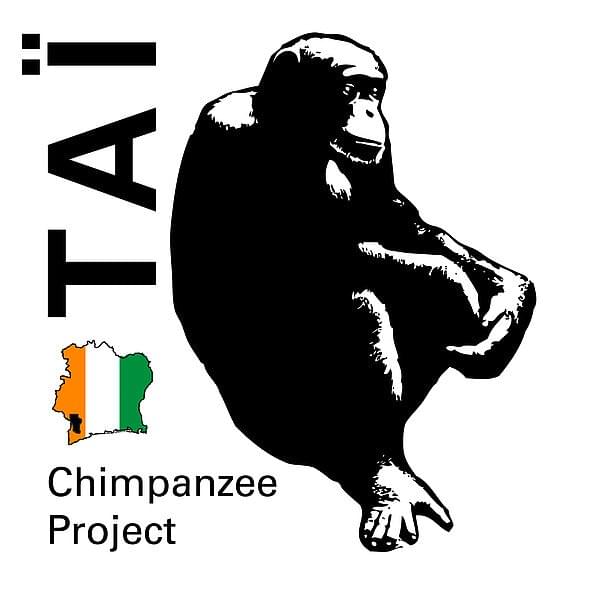 Our team/Notre équipe - Plastic Primates Lab
